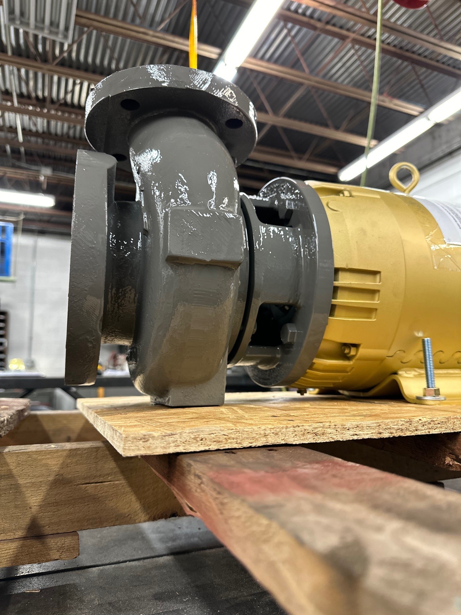 Thelco Pump of The Day - Thelco Corporation