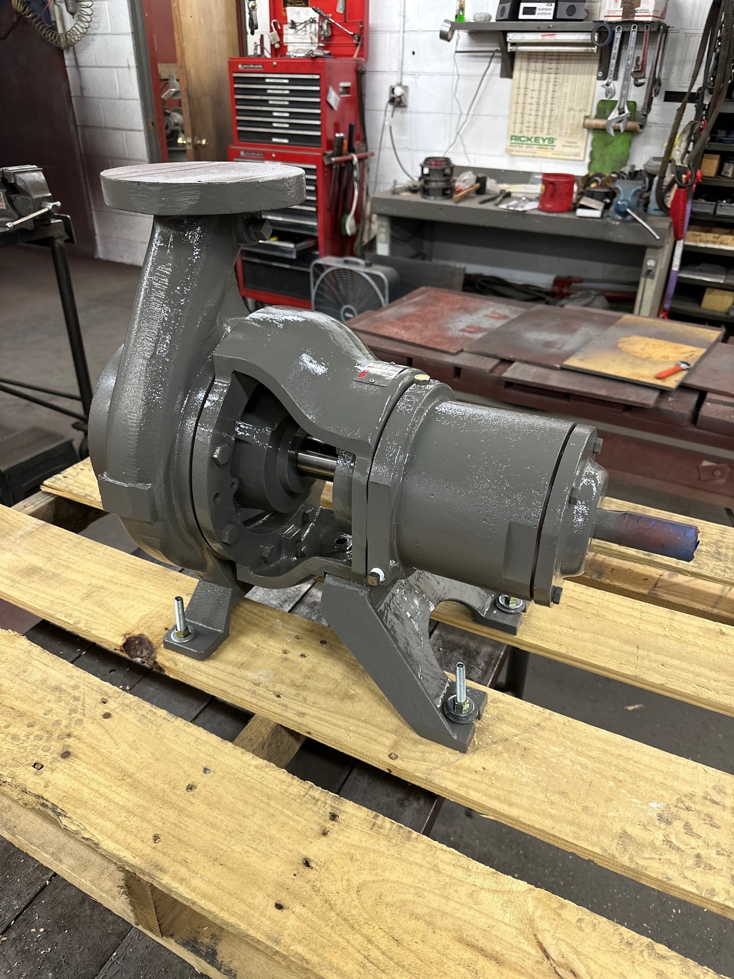 Worthington D1012 4x3x8 Stainless Steel Fitted Pump Thelco